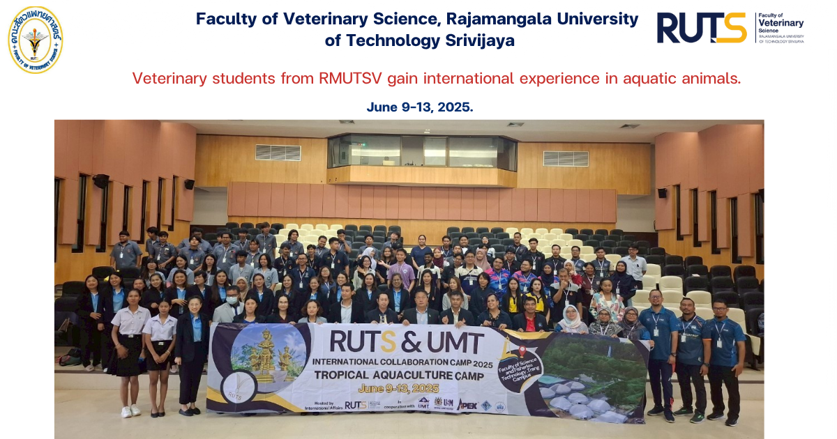 Veterinary students from RMUTSV gain international experience in ...