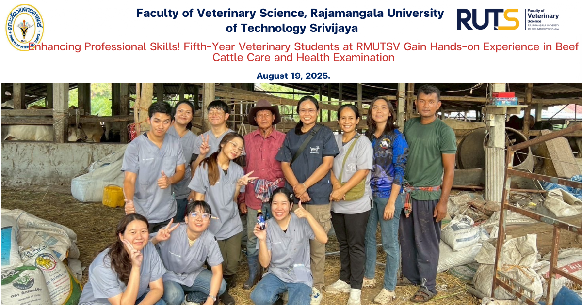 Enhancing Professional Skills! Fifth-Year Veterinary Students at RMUTSV ...